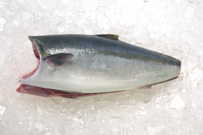 Fresh Fish – Martinez Produce & Seafood