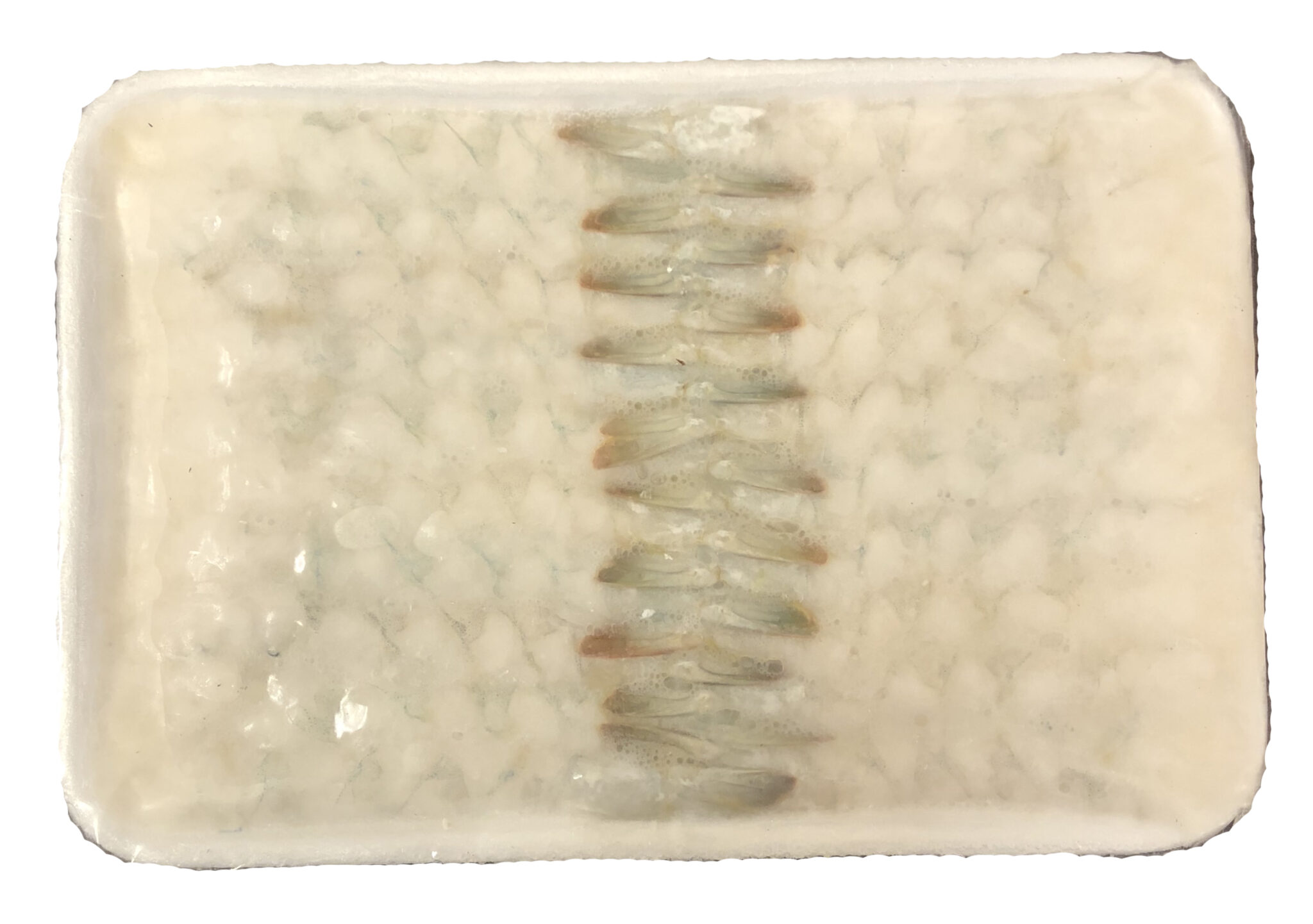 Sashimi – Martinez Produce & Seafood