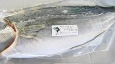 Fresh Fish – Martinez Produce & Seafood