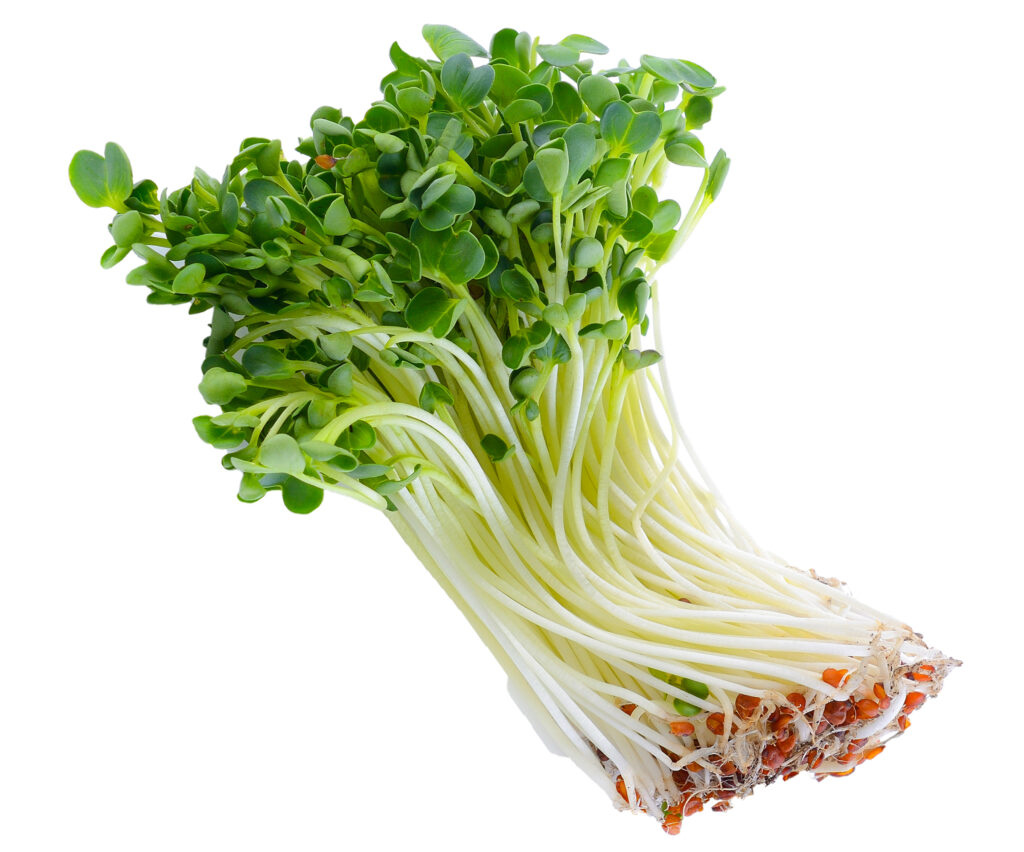 Japanese Vegetables | Martinez Produce & Seafood