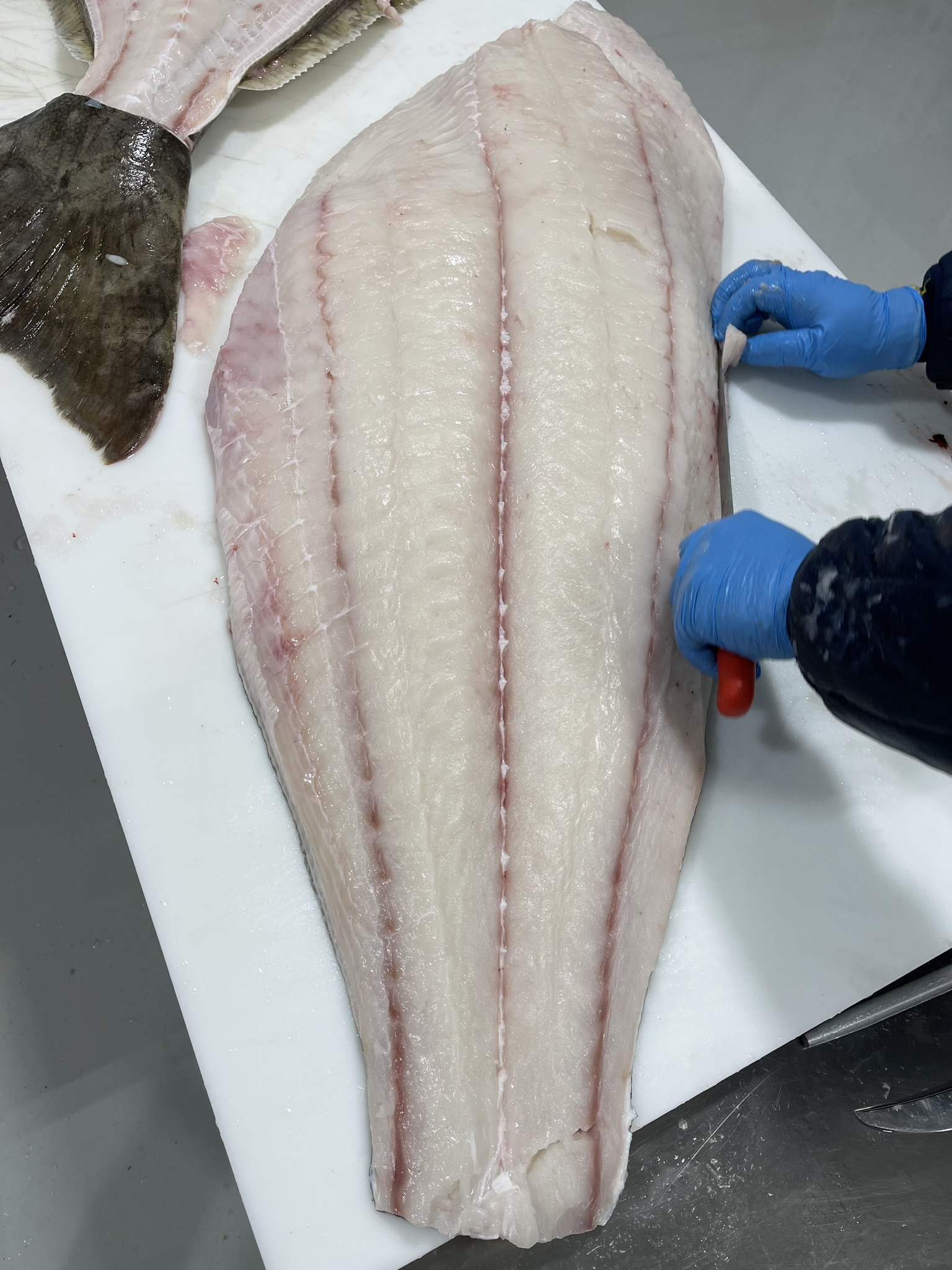 Gallery - Martinez Produce & Seafood