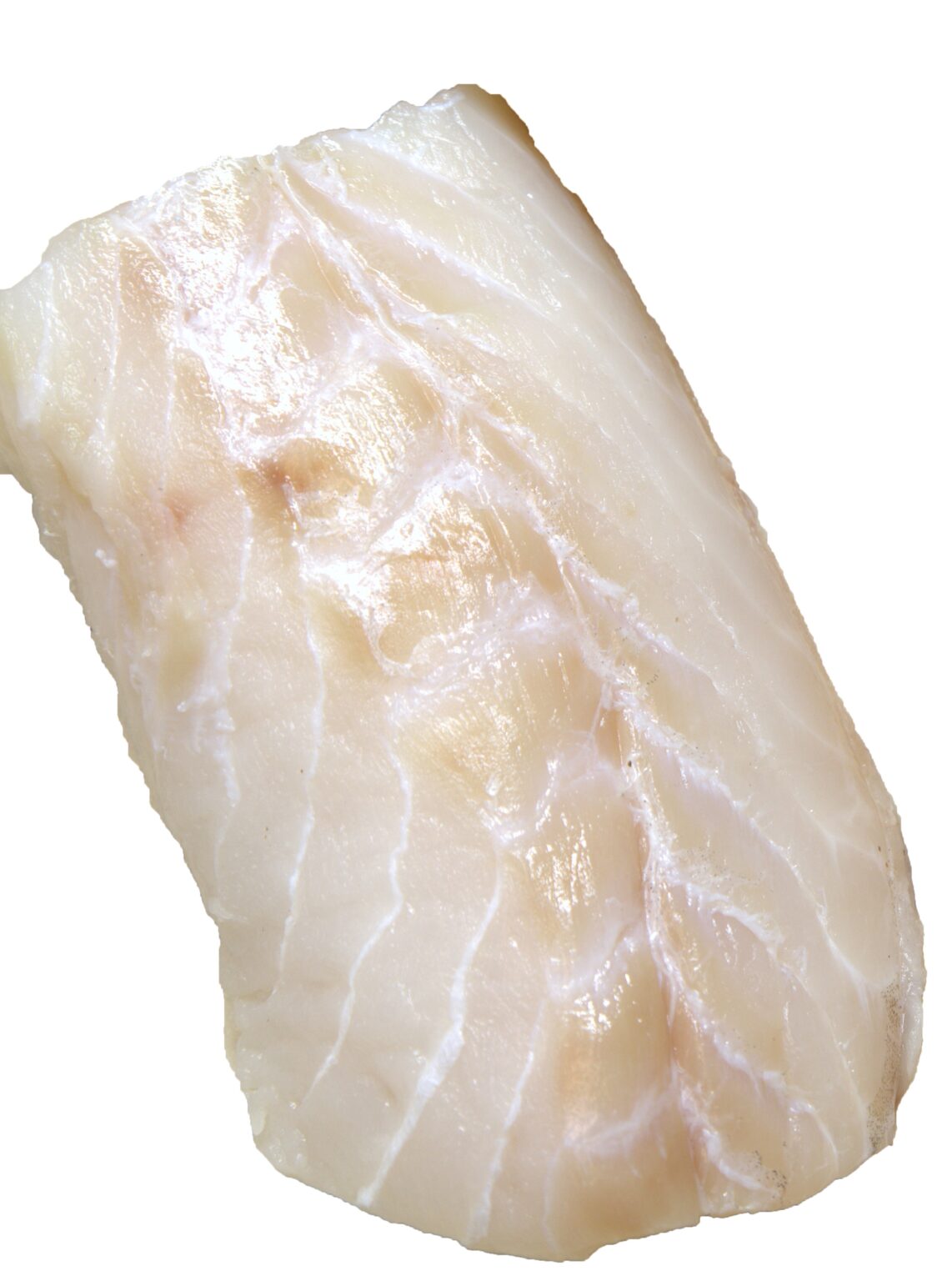 Fin Fish | Martinez Produce & Seafood